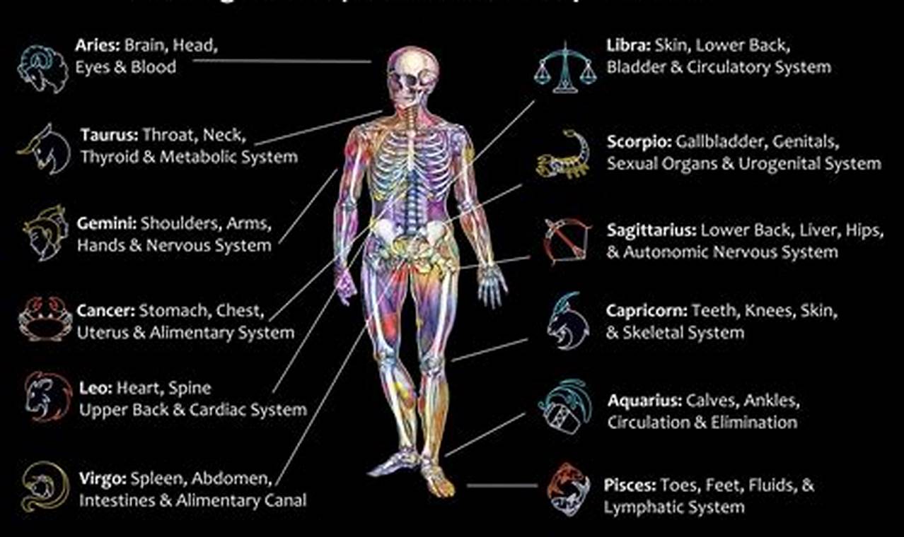 Decode Your Astro Body Chart: A Guide