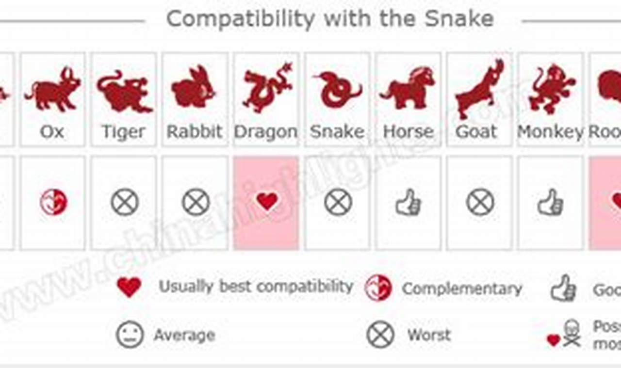 Chinese Zodiac Snake Compatibility Guide